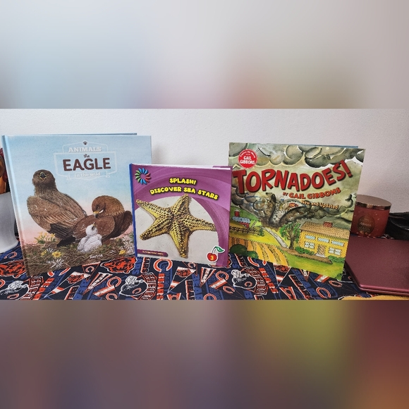 Other | Childrens Educational Book Set Eagle Sea Stars Tornadoes | Poshmark